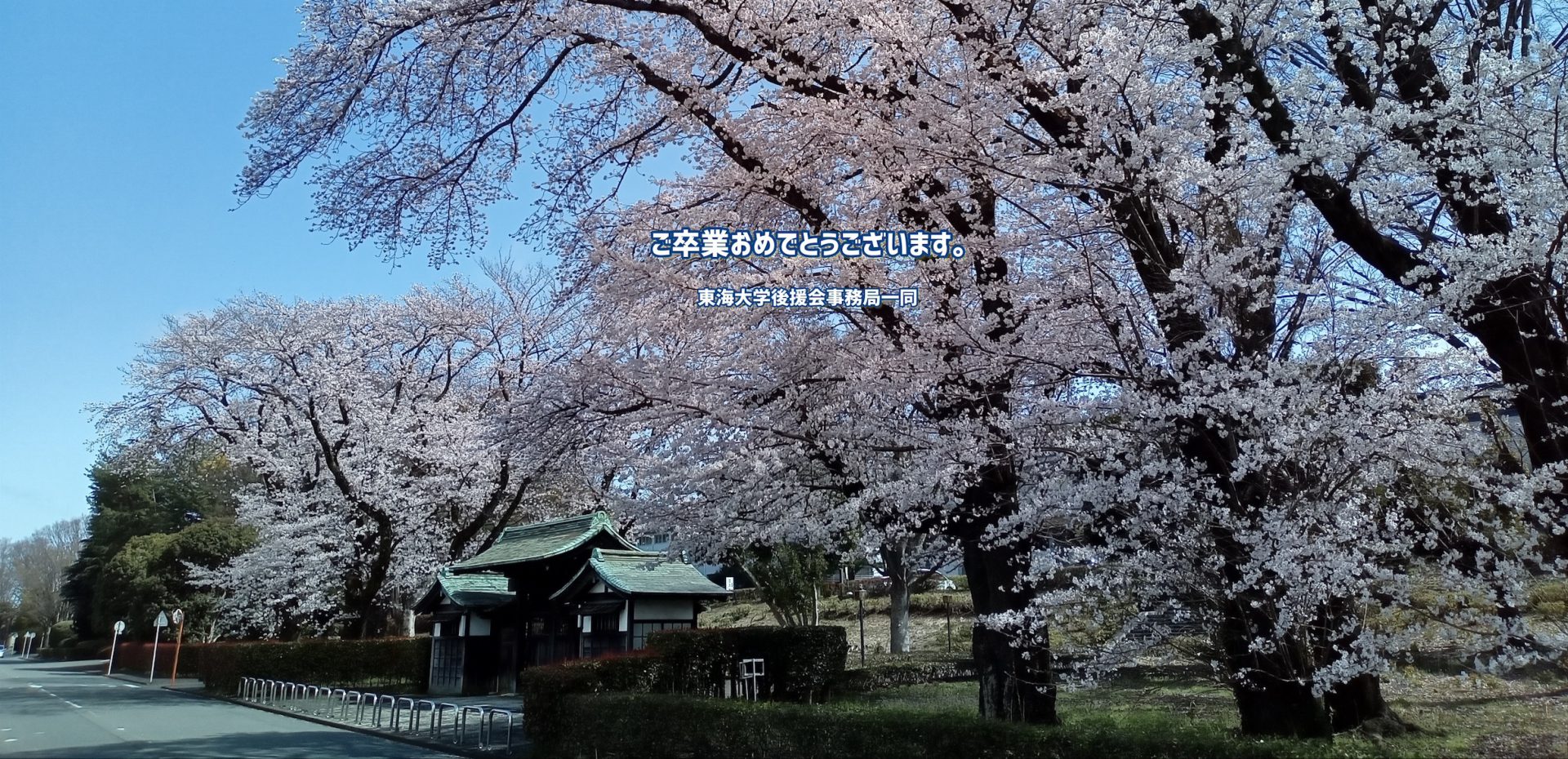 2022卒業0327② | 東海大学後援会